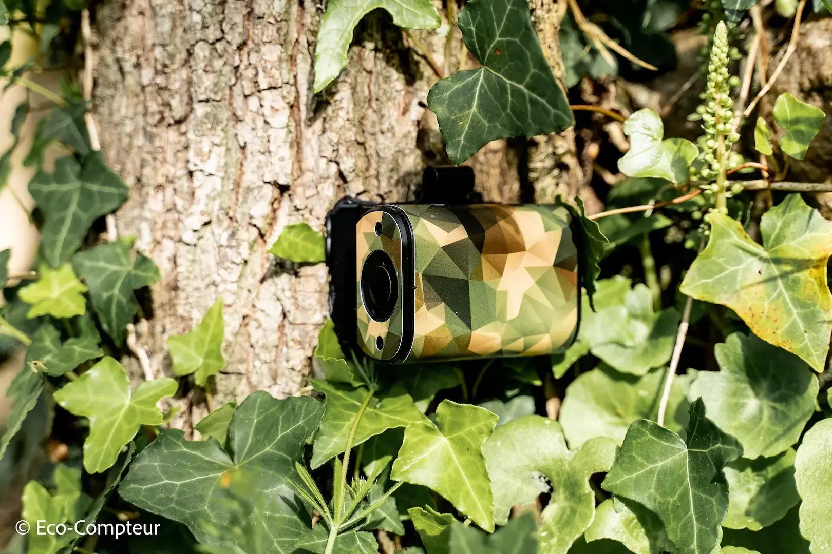 Our Key Takeaways from 2024! - Eco-Counter